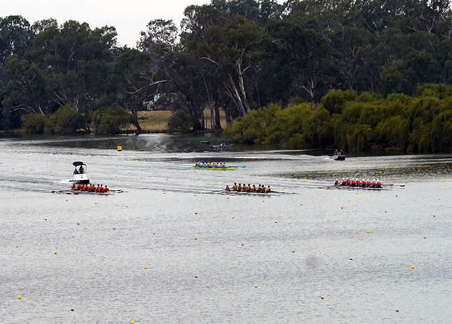 2021 APS Head of the River , Australian Rowing History
